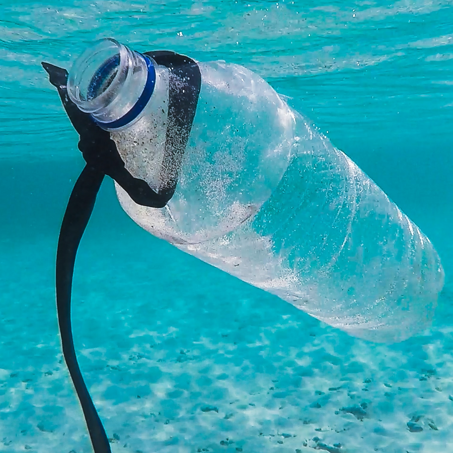 How Can Help Protect Our Oceans Together? | Blog – Doctor Seaweed