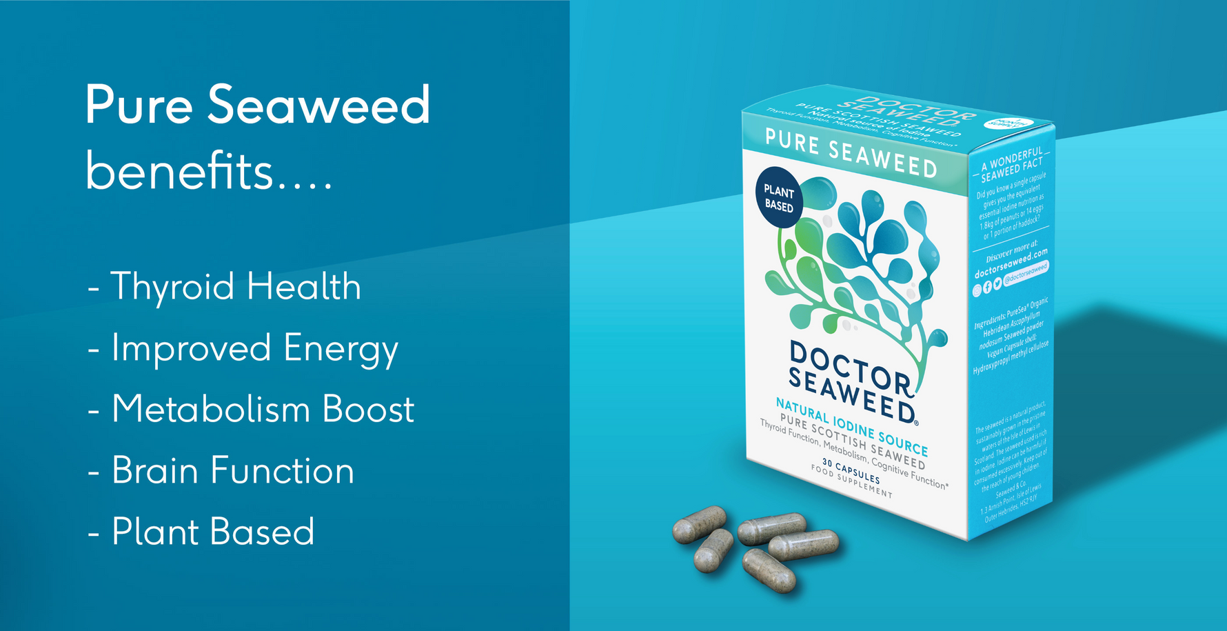 Doctor Seaweed | All Natural Seaweed Supplements