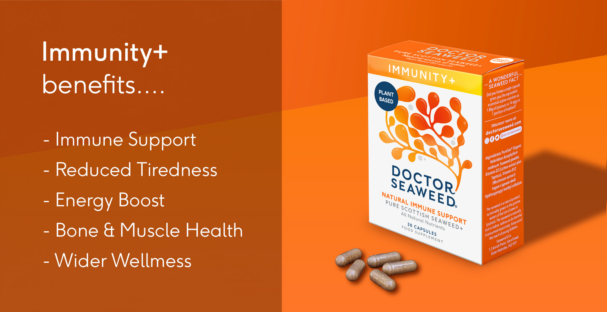 Doctor Seaweed | All Natural Seaweed Supplements