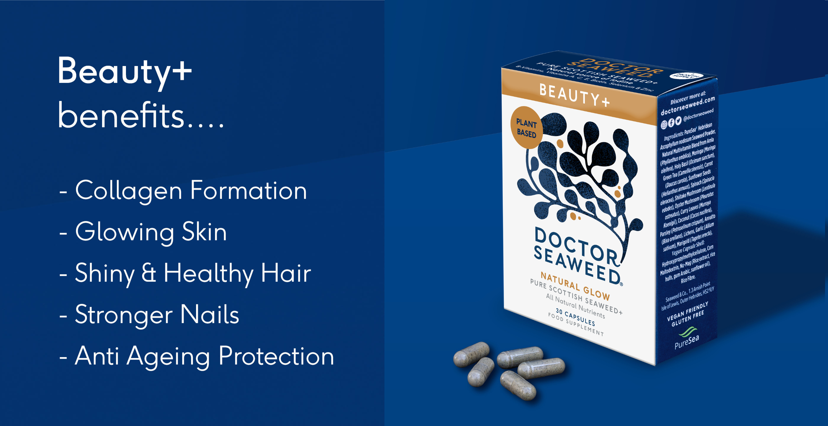 Doctor Seaweed | All Natural Seaweed Supplements