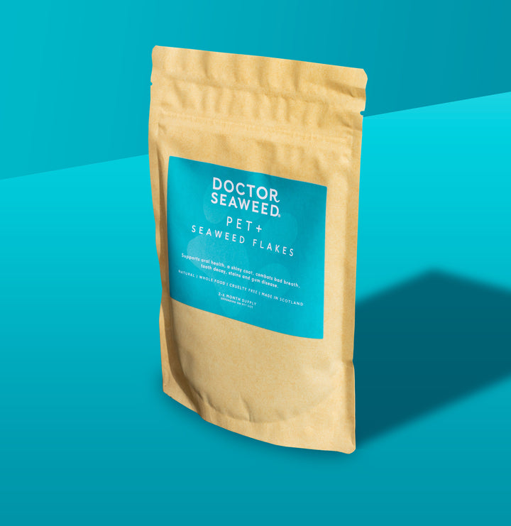 Doctor Seaweed | All Natural Seaweed Supplements