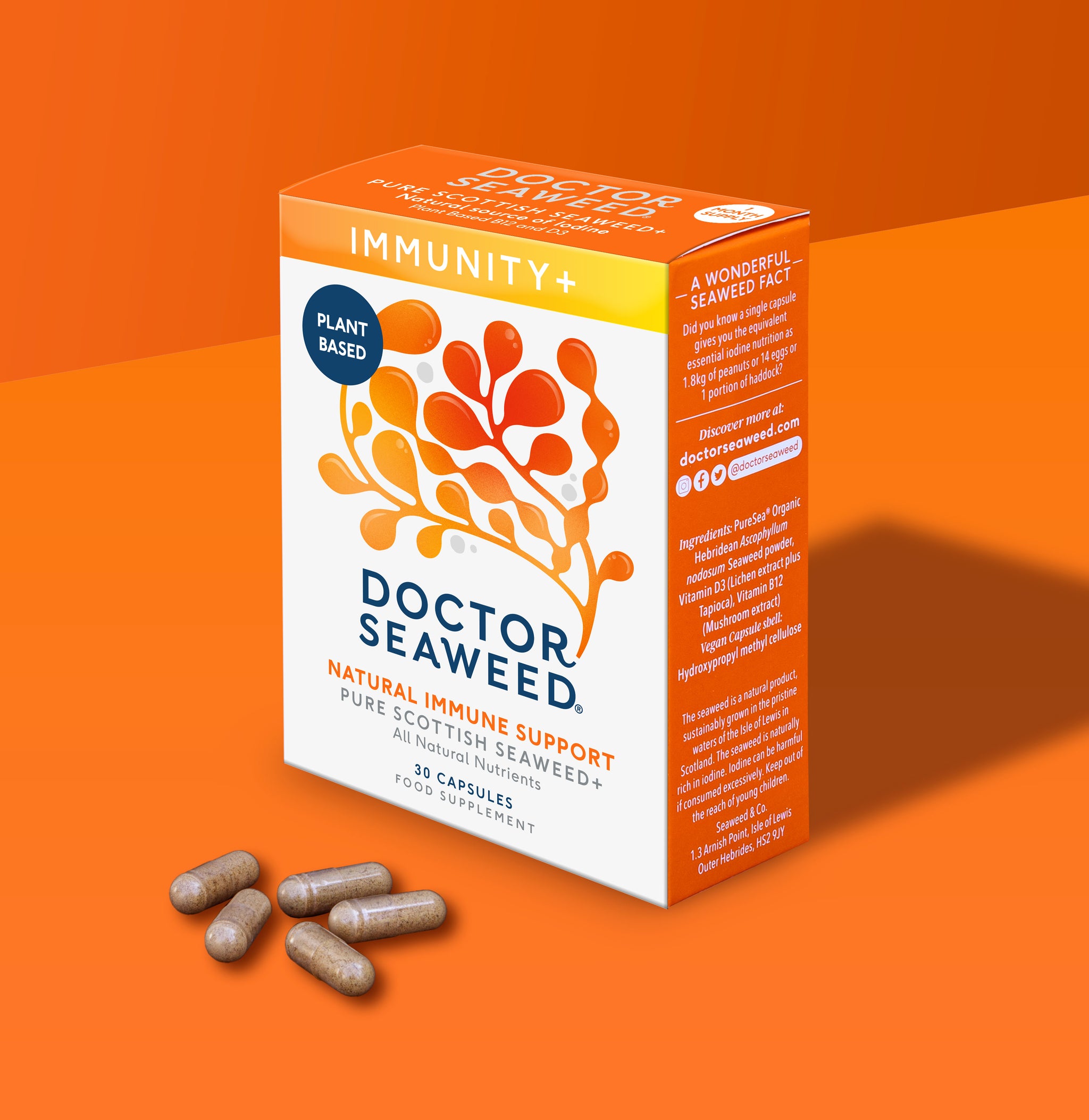 Immunity+ Seaweed Capsules | Support Immune Health | Vitamins D3 & B12 ...