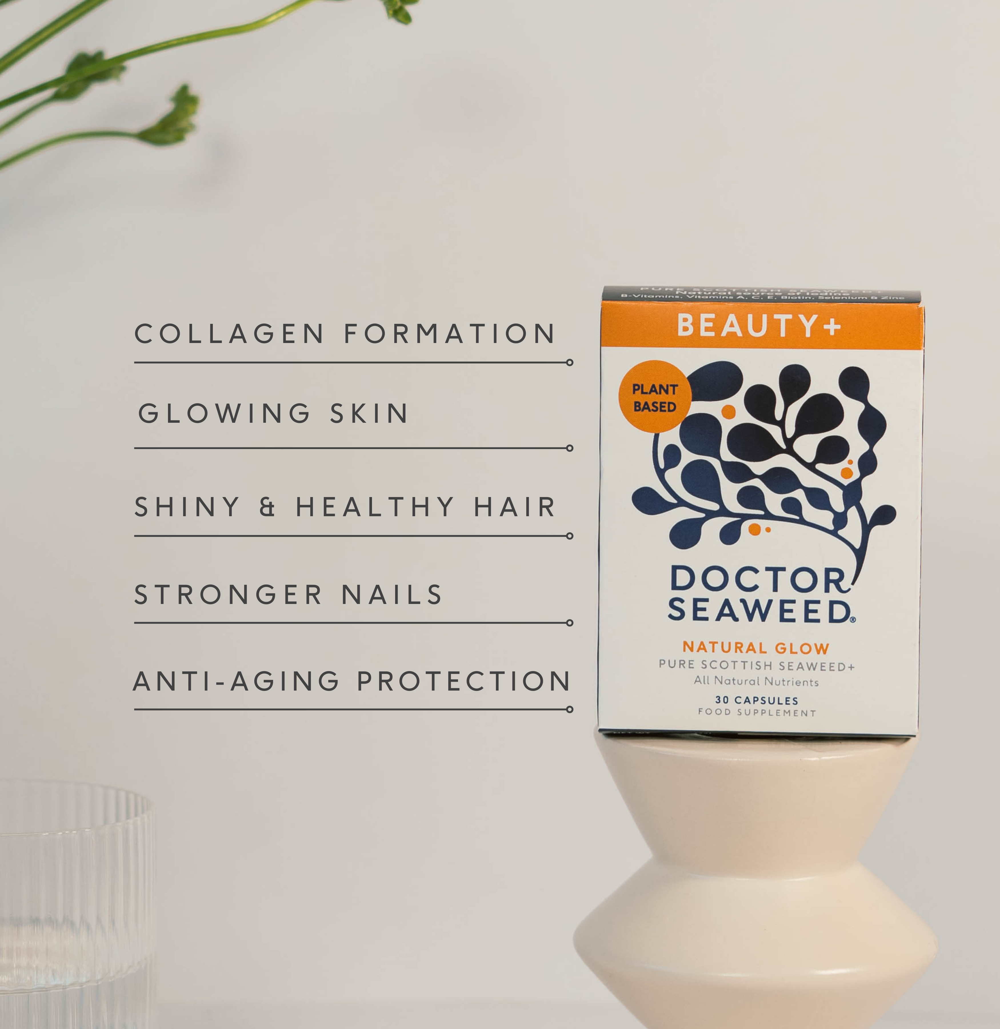 Beauty + Seaweed Capsules | Enhance your Natural Glow – Doctor Seaweed