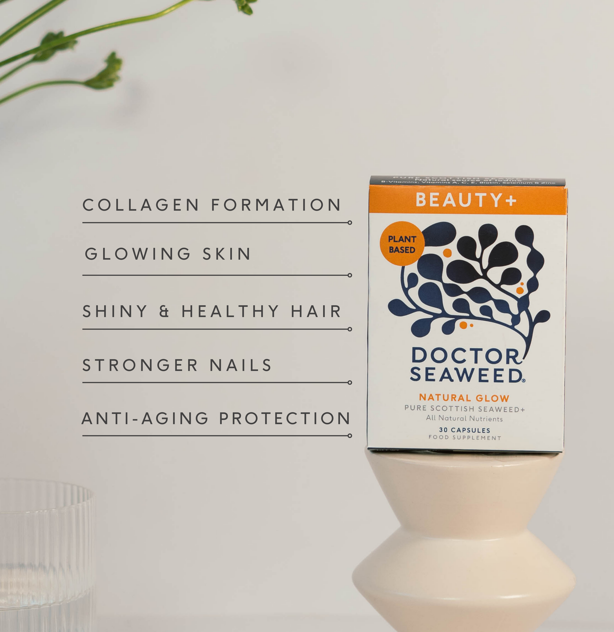 Beauty + Seaweed Capsules | Enhance your Natural Glow – Doctor Seaweed
